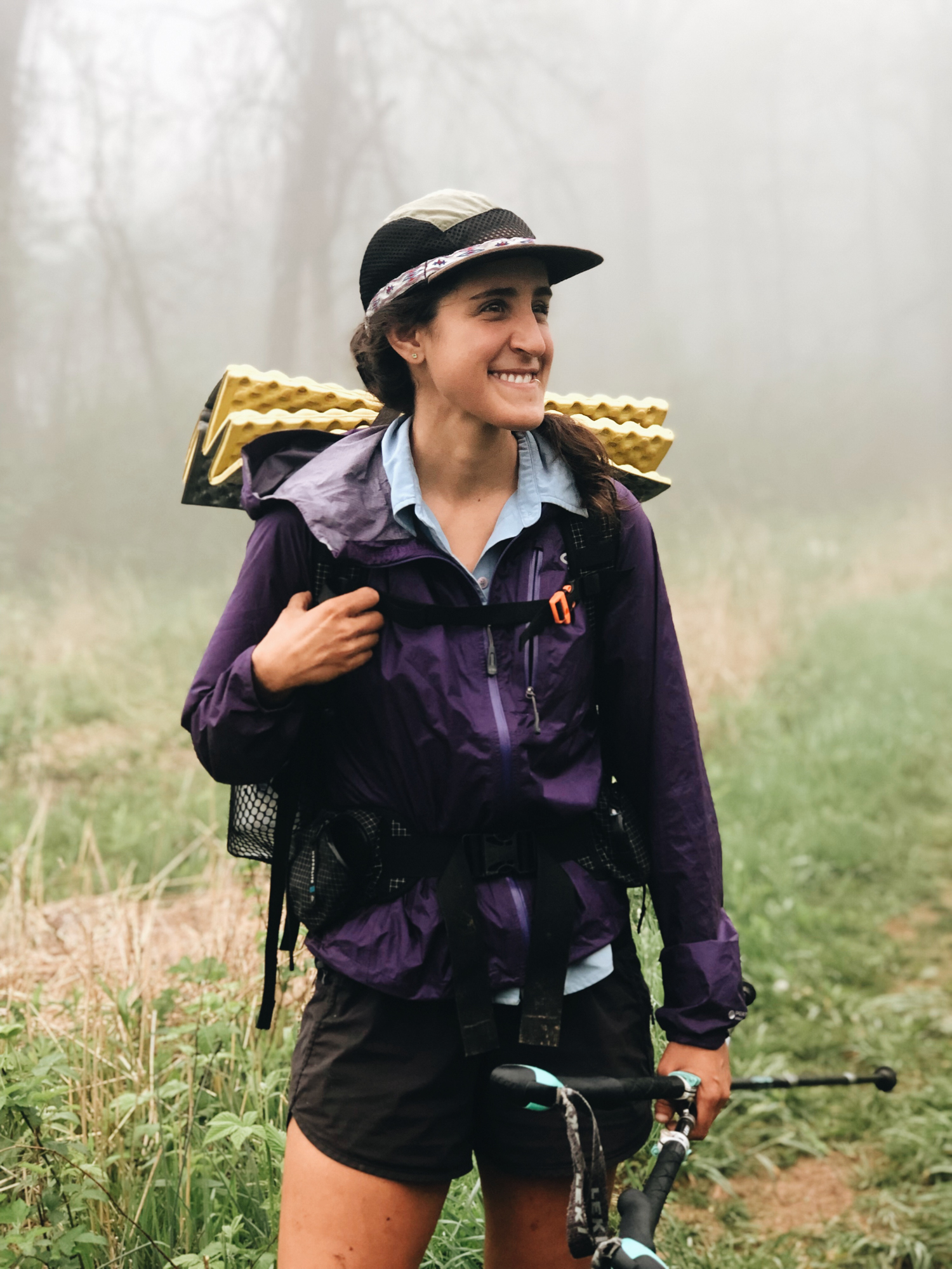 Episode 115: Two States to Go on the Appalachian Trail - Grizel ...